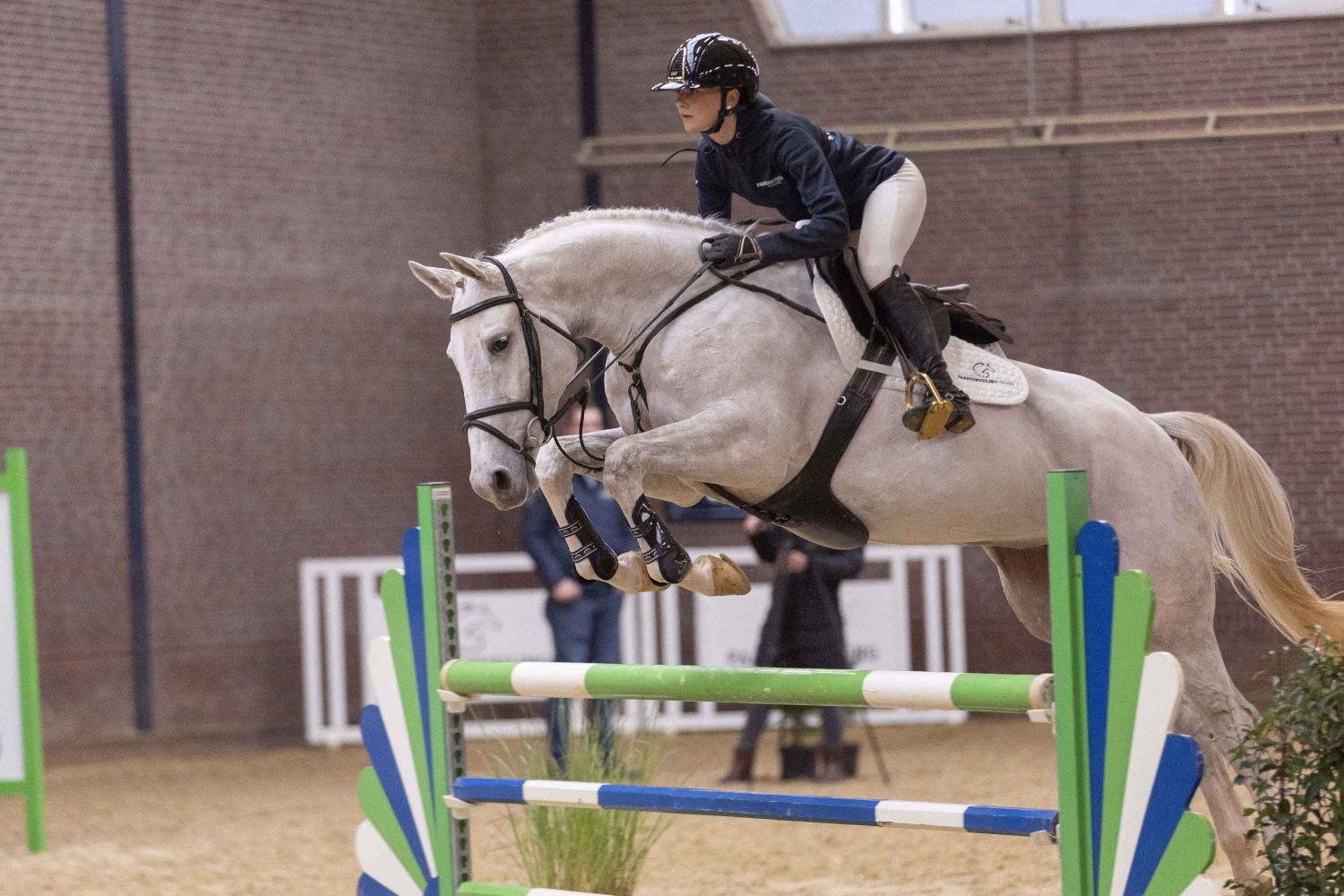 Paardenveilingonline | Pandora Butterfly Z